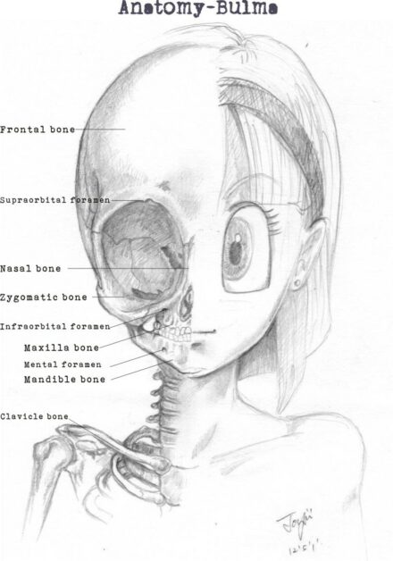[漫科學] Anatomy-Bulma - PanSci 泛科學