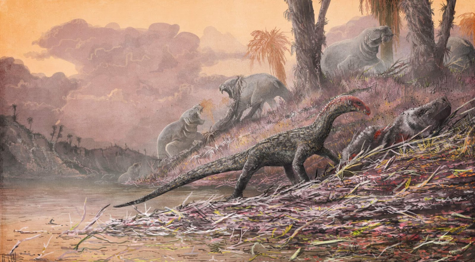 image_4779e-Teleocrater-rhadinus - PanSci 泛科學