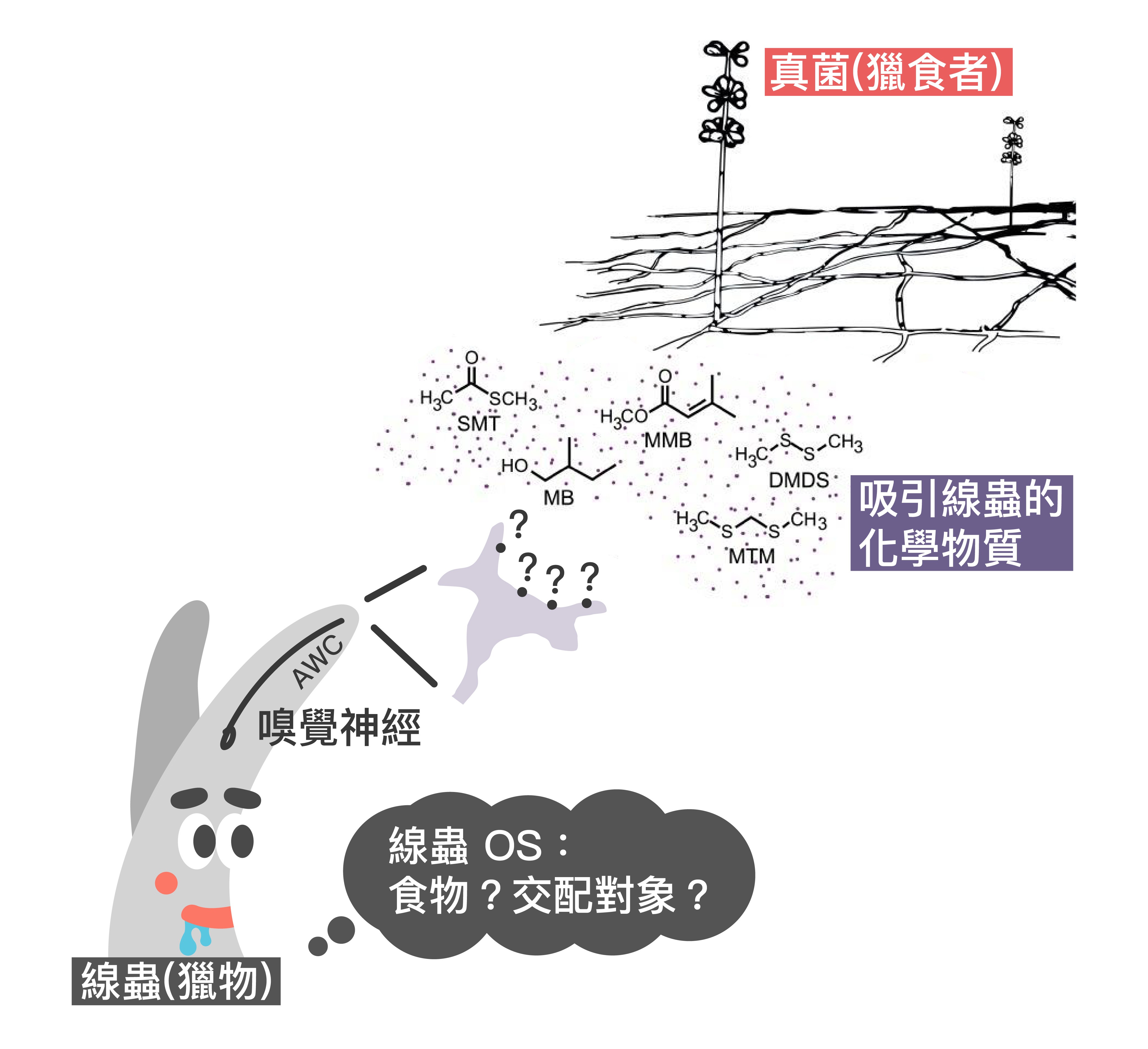 hsueh-yen-ping-01 - PanSci 泛科學