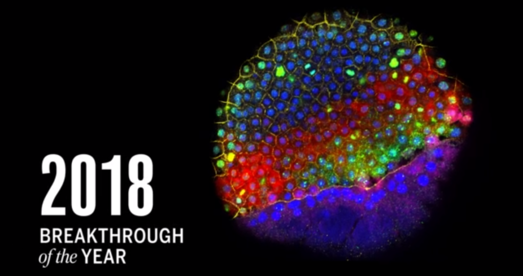 2018《Science》年度十大科學突破 - PanSci 泛科學