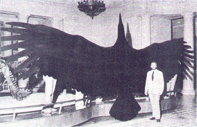 Argentavis-Magnificens - PanSci 泛科學