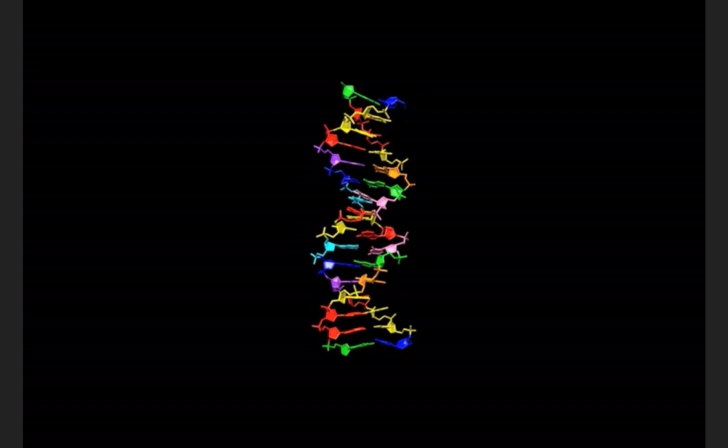 八碼DNA - PanSci 泛科學