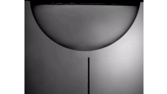 3d2172418ce305c7d16d4b05597c6a59 - PanSci 泛科學