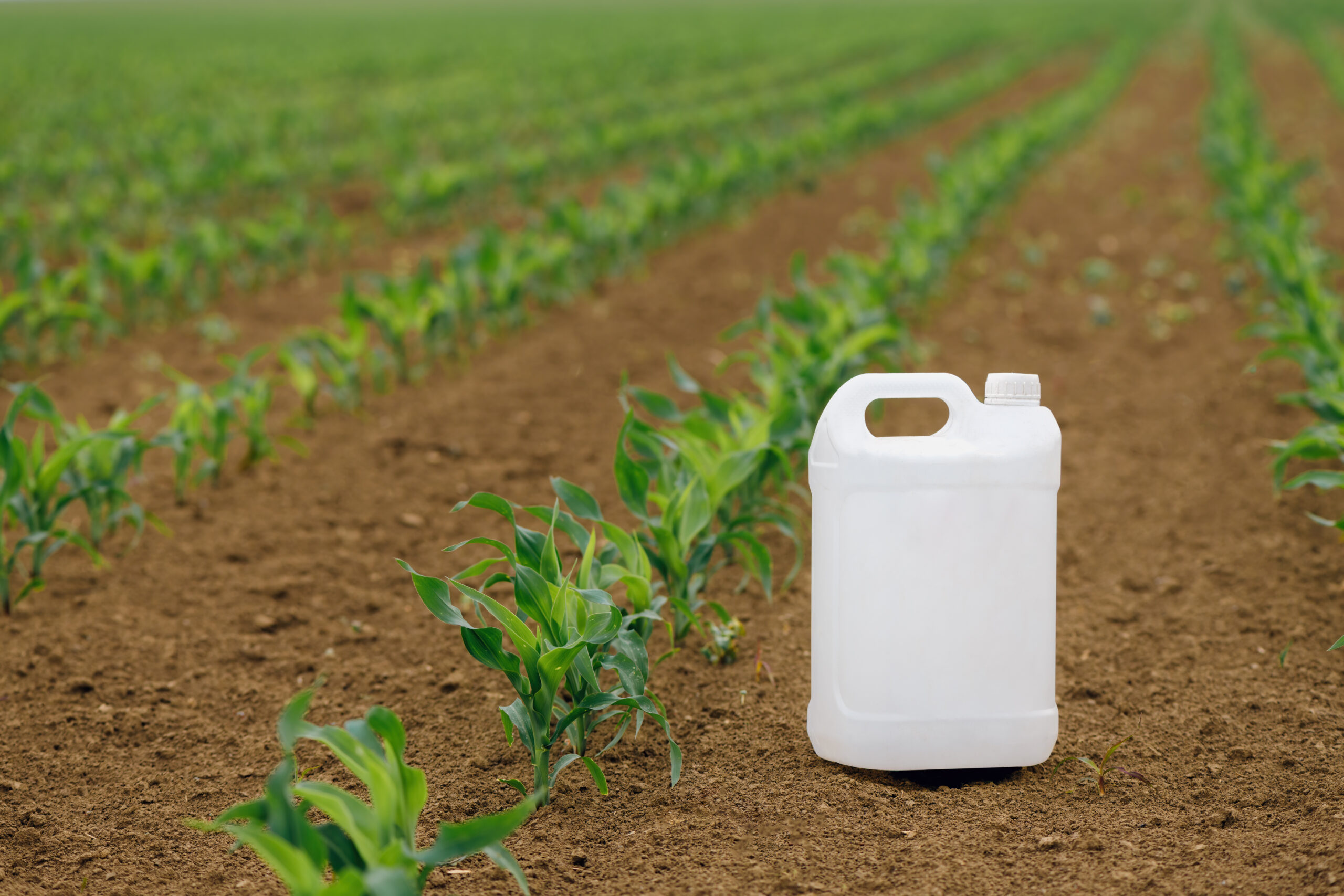 Corn pesticide canister in field, mock up image - PanSci 泛科學
