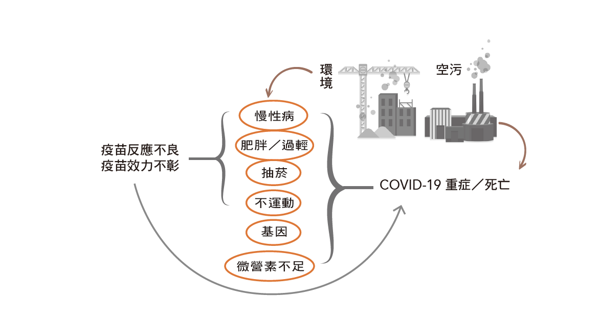 COVID-19快篩原理和常見QA - PanSci 泛科學
