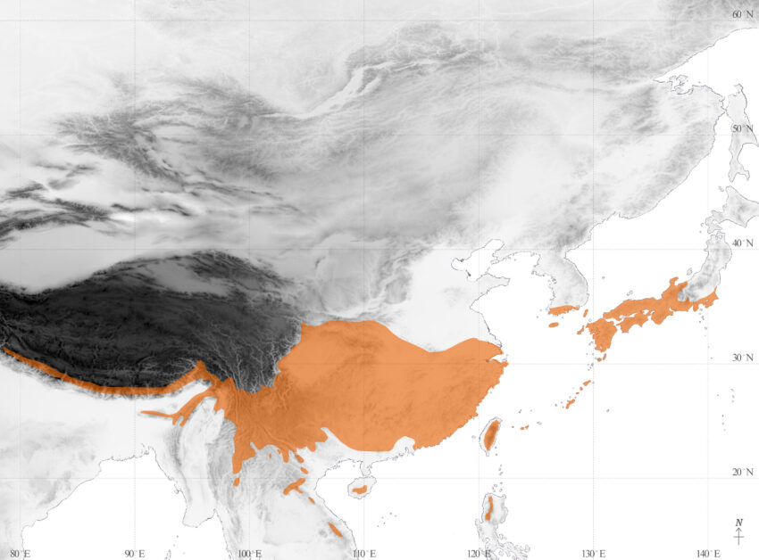 臺灣美麗的森林怎麼形成？東亞地區的氣候變遷如何影響生態？——《橫斷臺灣》 - PanSci 泛科學