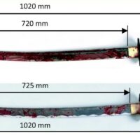 鑑識故事系列：娛樂性用藥「六角楓葉」 2C-B 的危險 - PanSci 泛科學