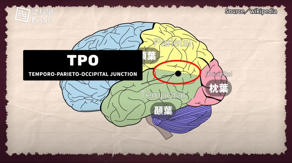人死前最後一刻會看到什麼？人生走馬燈真的存在嗎？ - PanSci 泛科學
