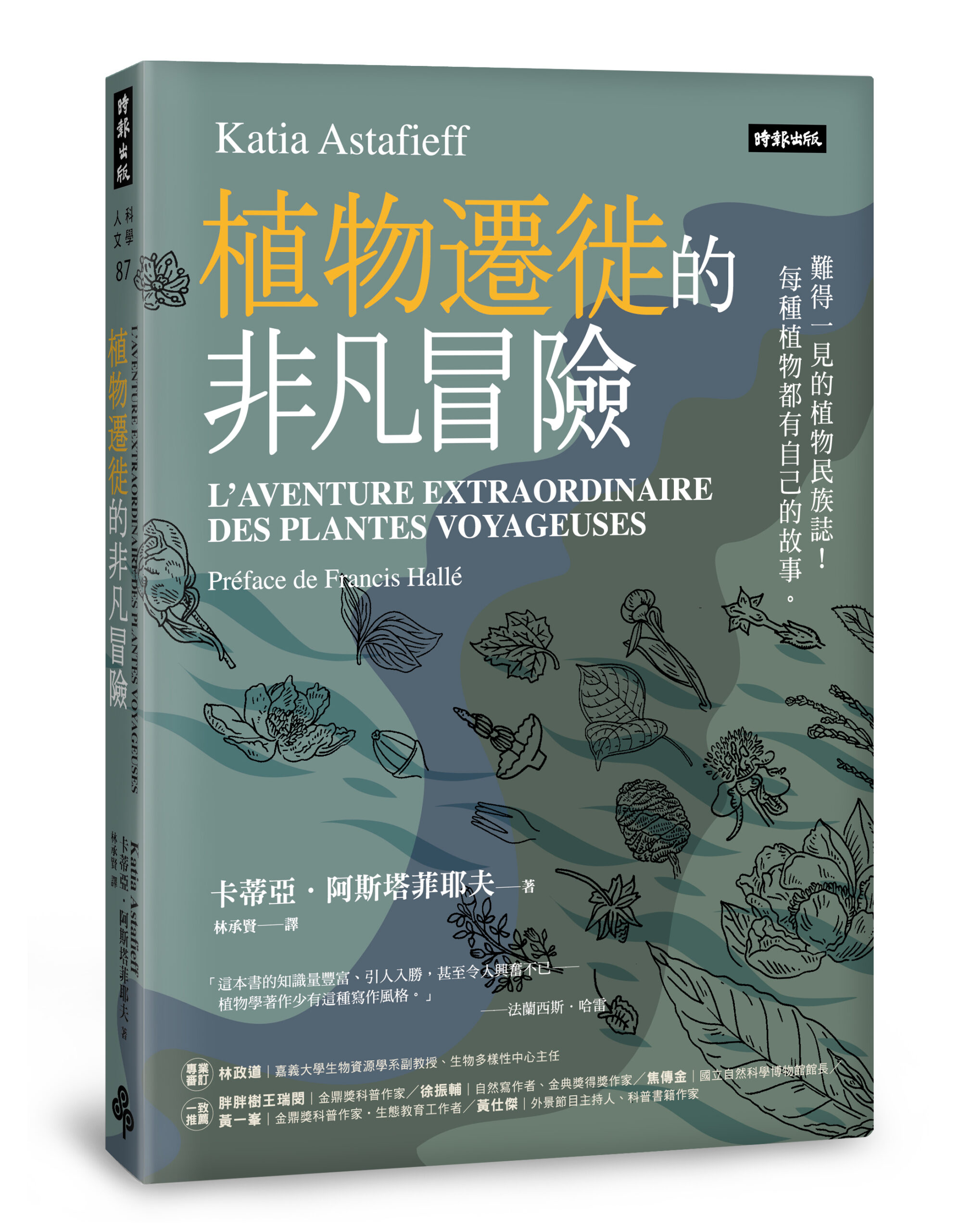 草莓是果實還是種子？又或者……以上皆非？——「112年會考自然科考題」 - PanSci 泛科學