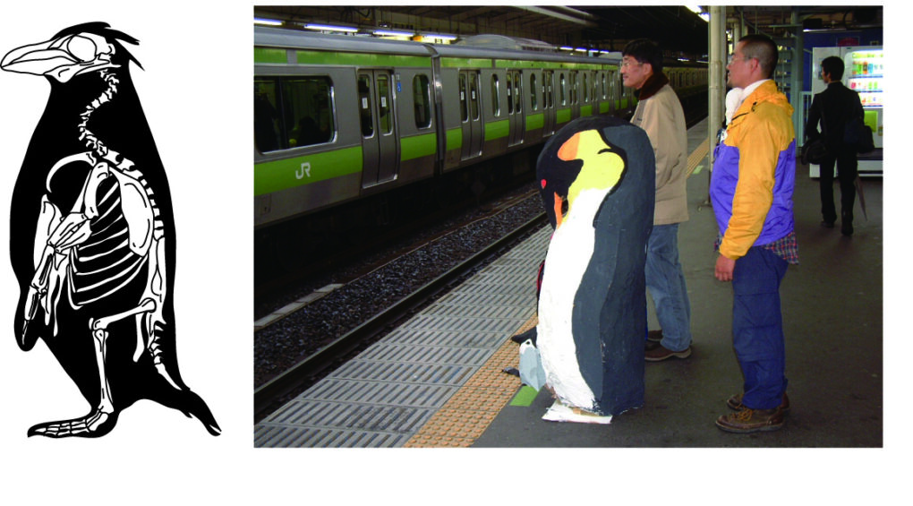 小鳥為什麼不走路要用彈跳的？——《鴿子為什麼要邊走邊搖頭？》 - PanSci 泛科學