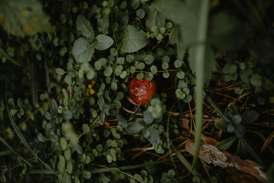 COVID-19快篩原理和常見QA - PanSci 泛科學