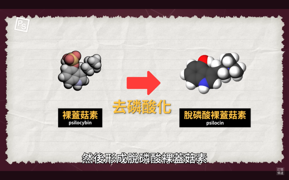 鑑識故事系列：娛樂性用藥「六角楓葉」 2C-B 的危險 - PanSci 泛科學