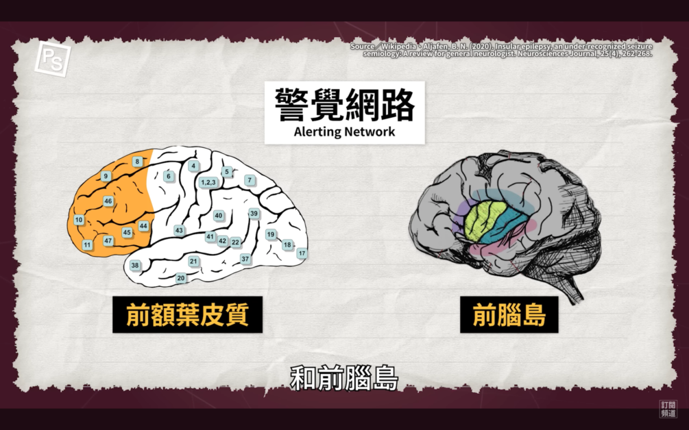 每次呼吸都會吸入十個孢子？一朵菇如何形成？無所不在的真菌生命循環！——《真菌大未來》 - PanSci 泛科學