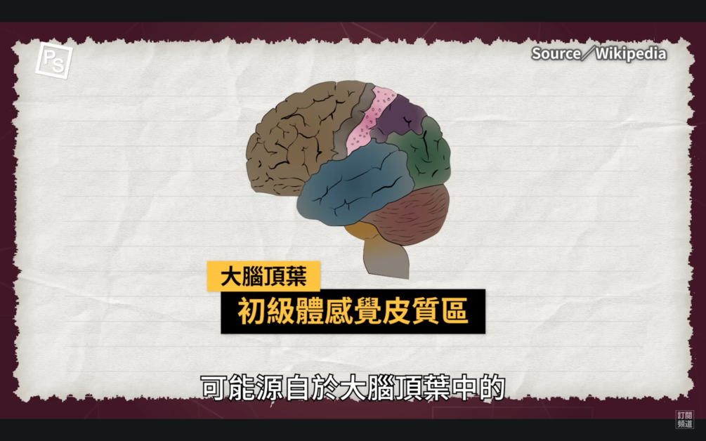 大腦無時無刻在改變：利用大腦可塑性，幫助學會情緒轉化——《改造焦慮大腦》 - PanSci 泛科學
