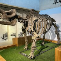 暴龍真的是掠食肉動物啦～ - PanSci 泛科學